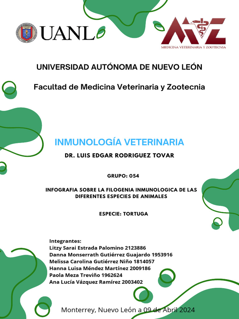 Evi1 Infografia | PDF | Timo | Bazo