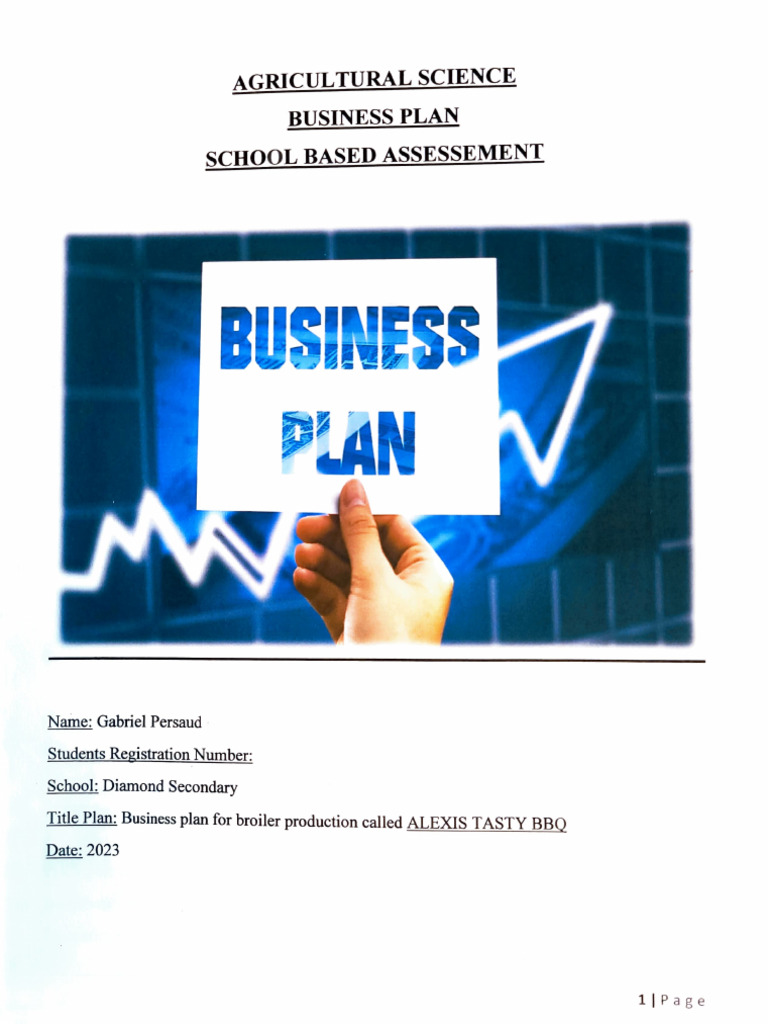 Business Plan Sample 3 | PDF