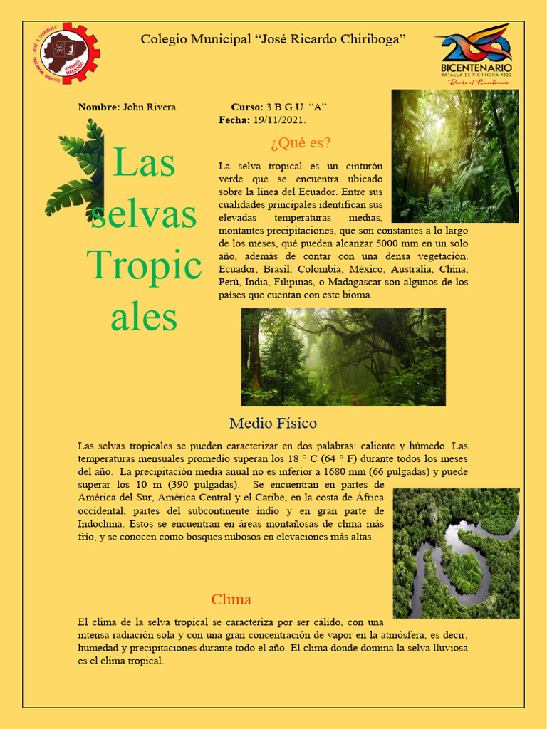 John Rivera 3a Biologia Tarea de Las Selvas Tropicales | PDF | Zona ...