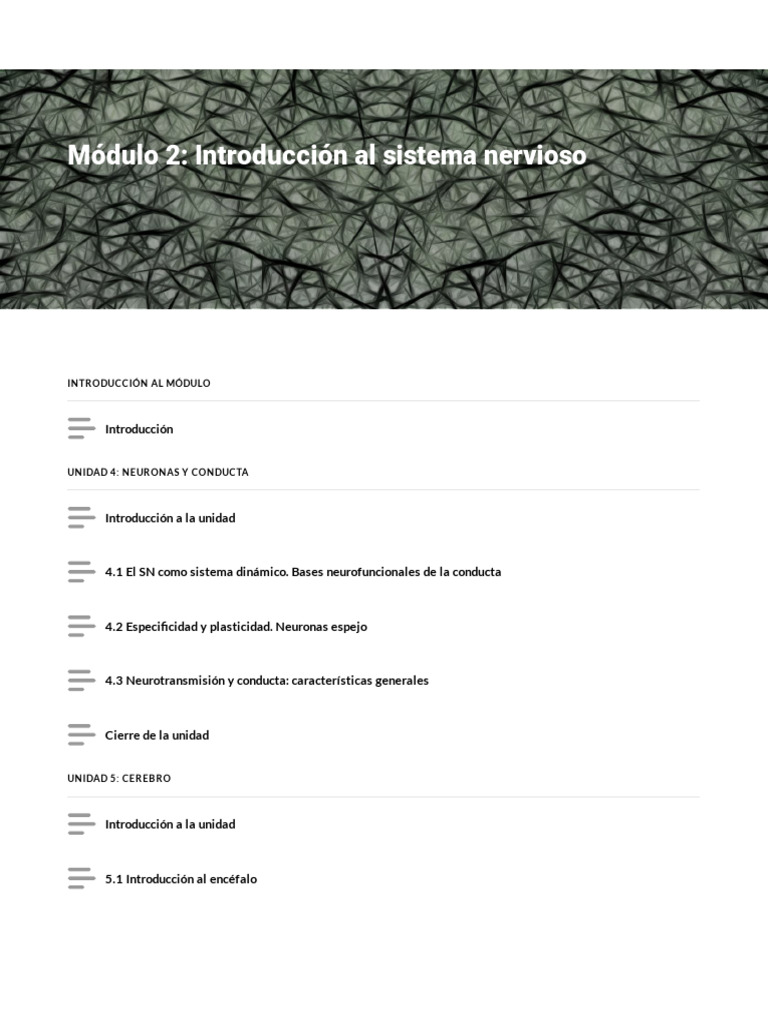 Modulo 2 | PDF | Cerebro | Sinapsis