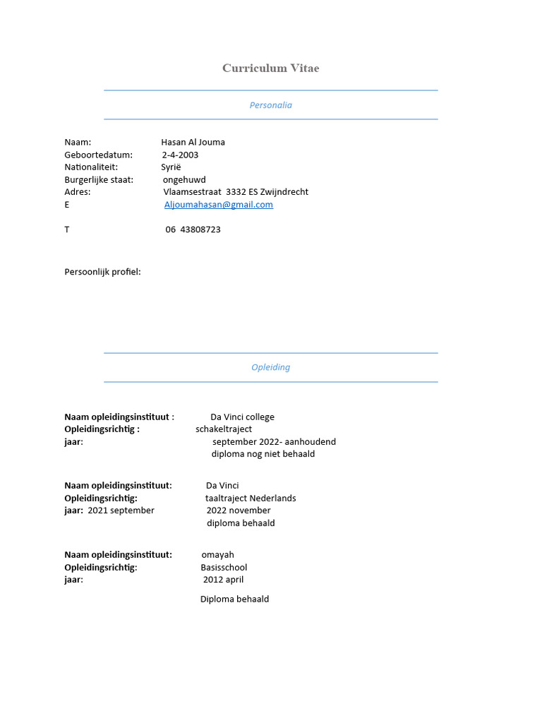 Curriculum Vitae HASAN | PDF