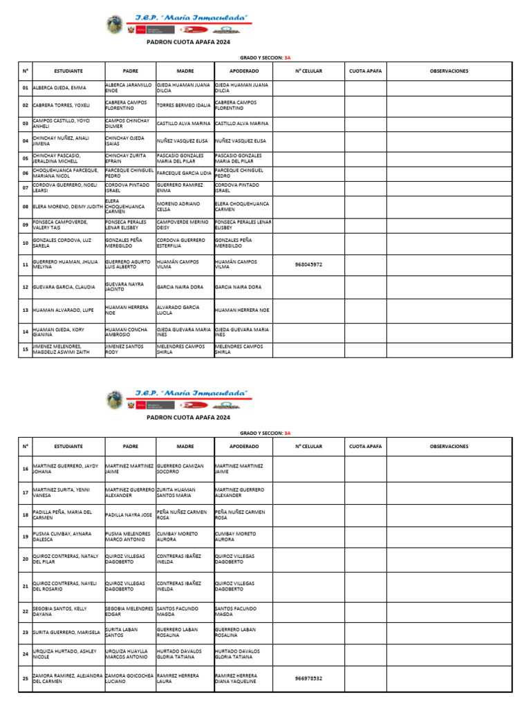 APAFA 2024 (1) | PDF