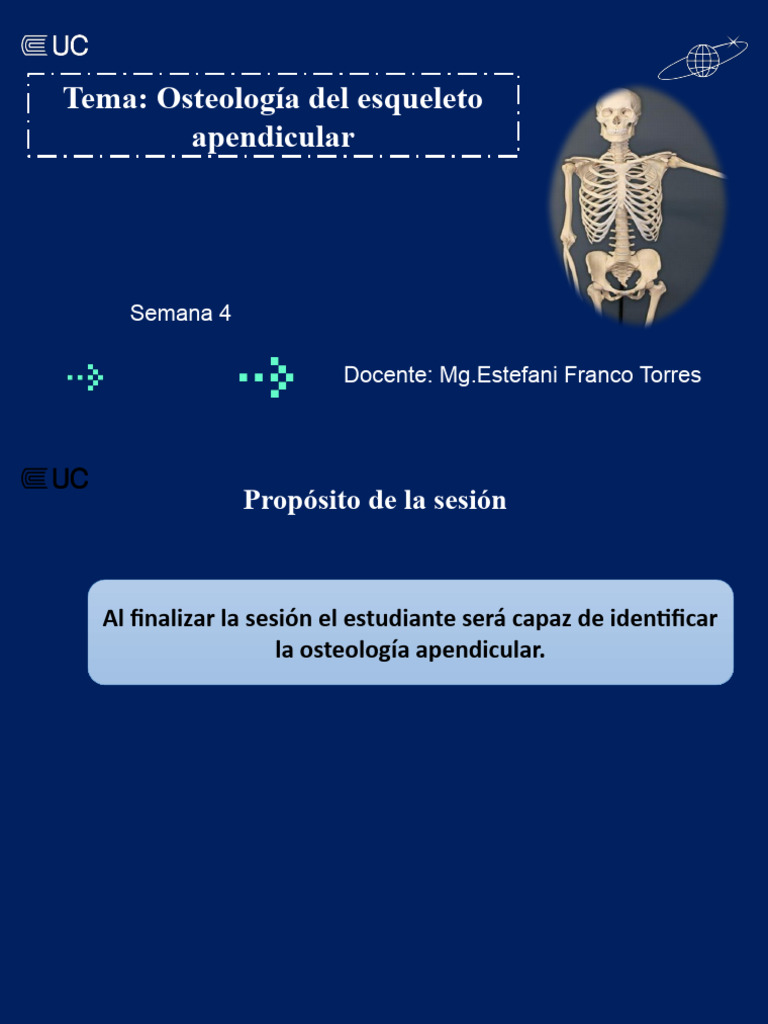 Semana 4 Esqueleto Apendicular MG - Estefani Franco Torres | PDF | Articulación | Esqueleto