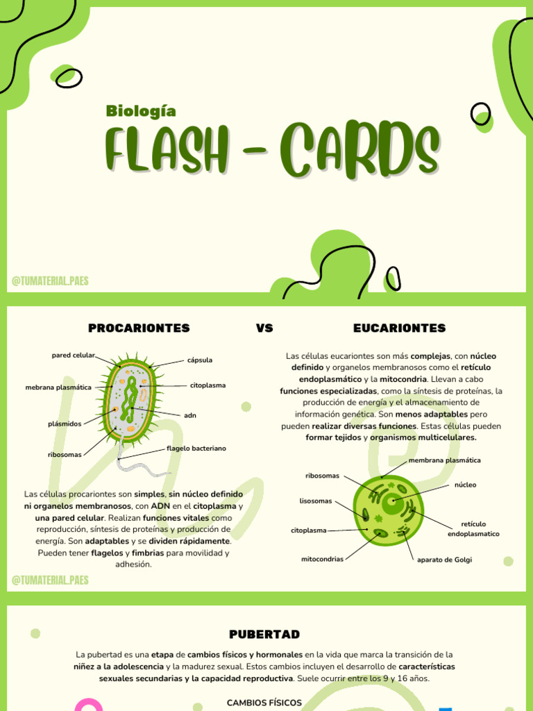 Flashcards de Biología y Reproducción | PDF | Control de la natalidad ...