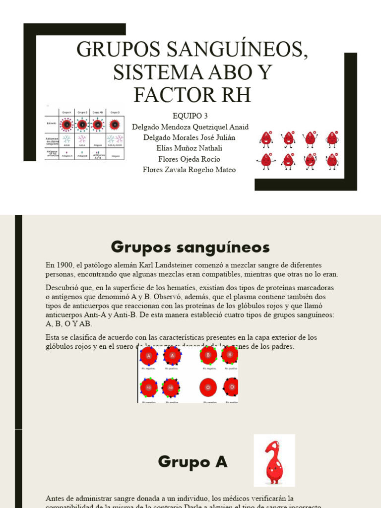 Grupos Sanguíneos, Sistema ABO y Factor RH | PDF | Tipo de sangre | Sangre
