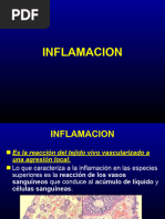 Fases de la Inflamación en PDF | PDF | Inflamación | Inmunología