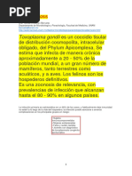 Cápsula de Glisson | PDF | Tejido adiposo | Riñón