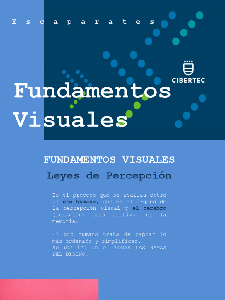 4 Fundamentos Visuales | PDF | Percepción | Mente