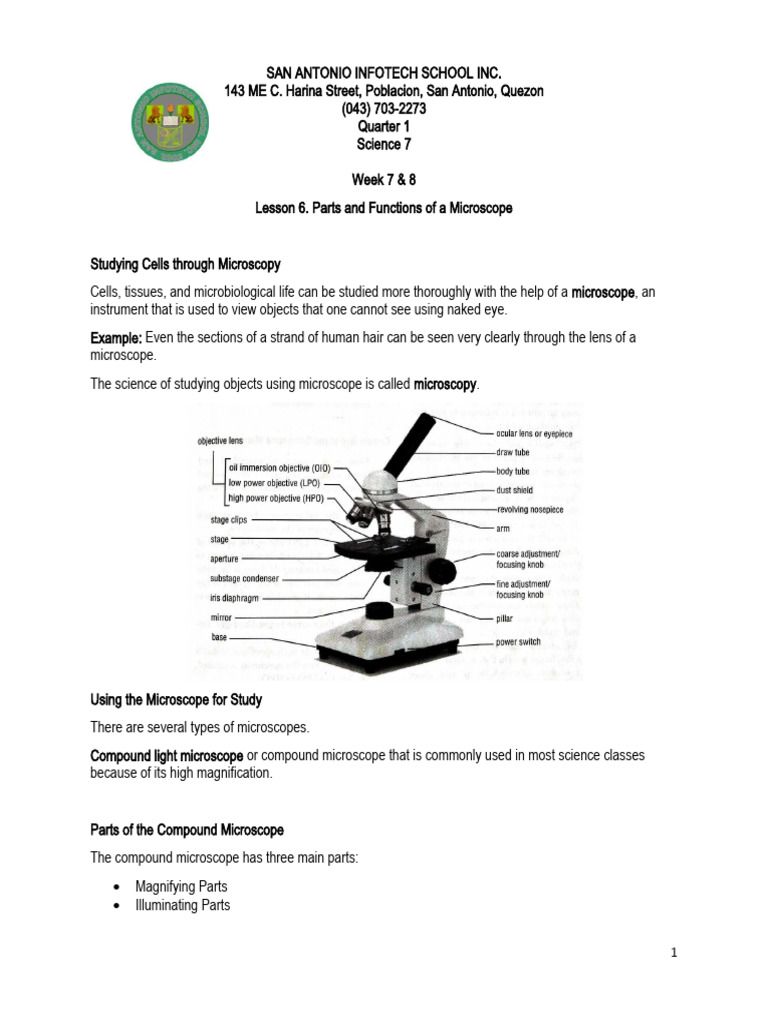 Parts and Functions of A Microscope | PDF | Microscope | Optics