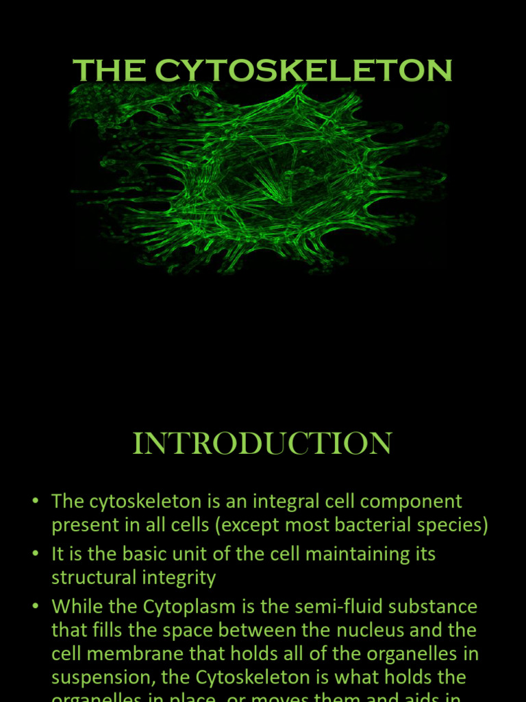 The Cytoskeleton | PDF | Cytoskeleton | Microtubule