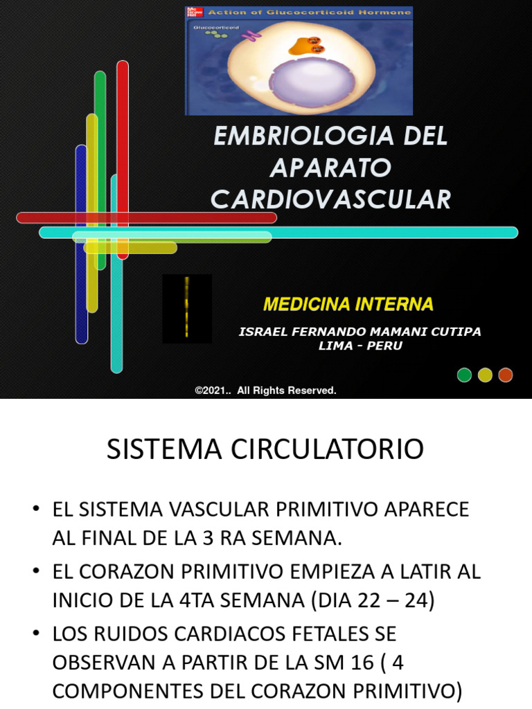 Embriologia Cardiovascular - Teoria2 | PDF