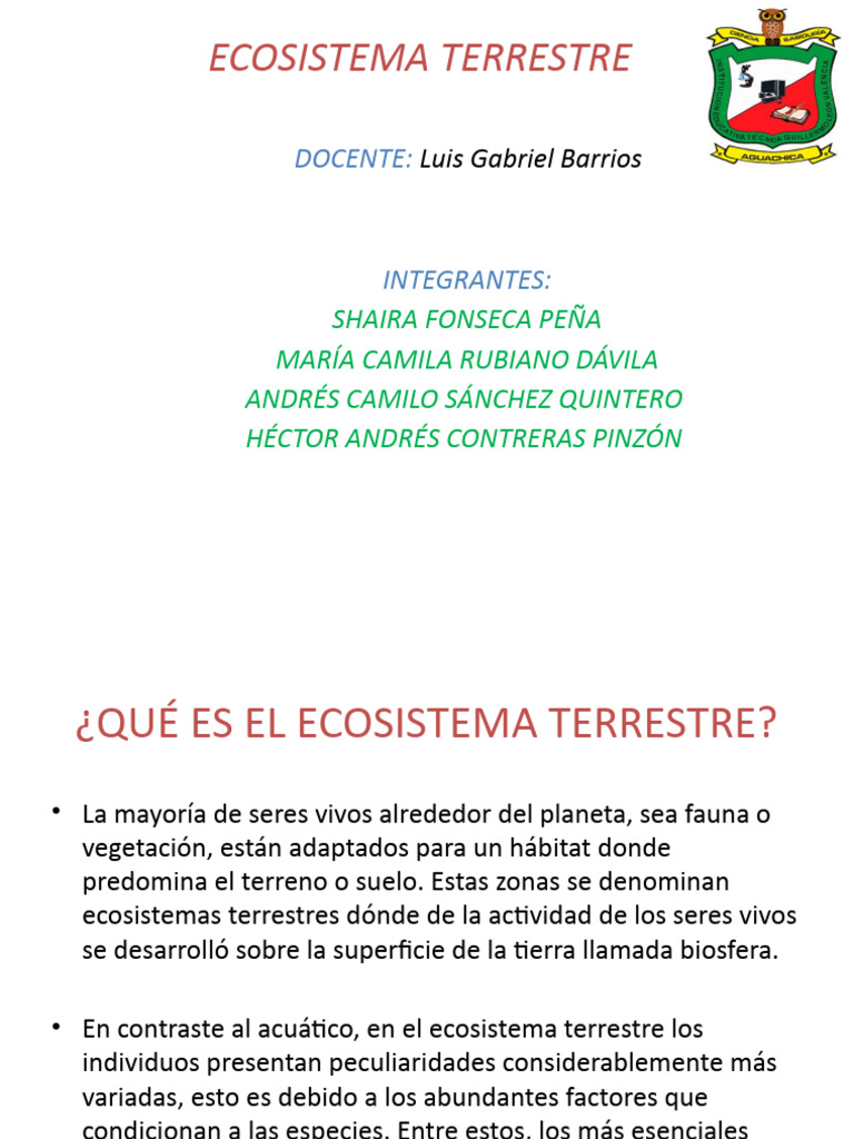 Ecosistema Terrestre | PDF | Ecosistema | Suelo