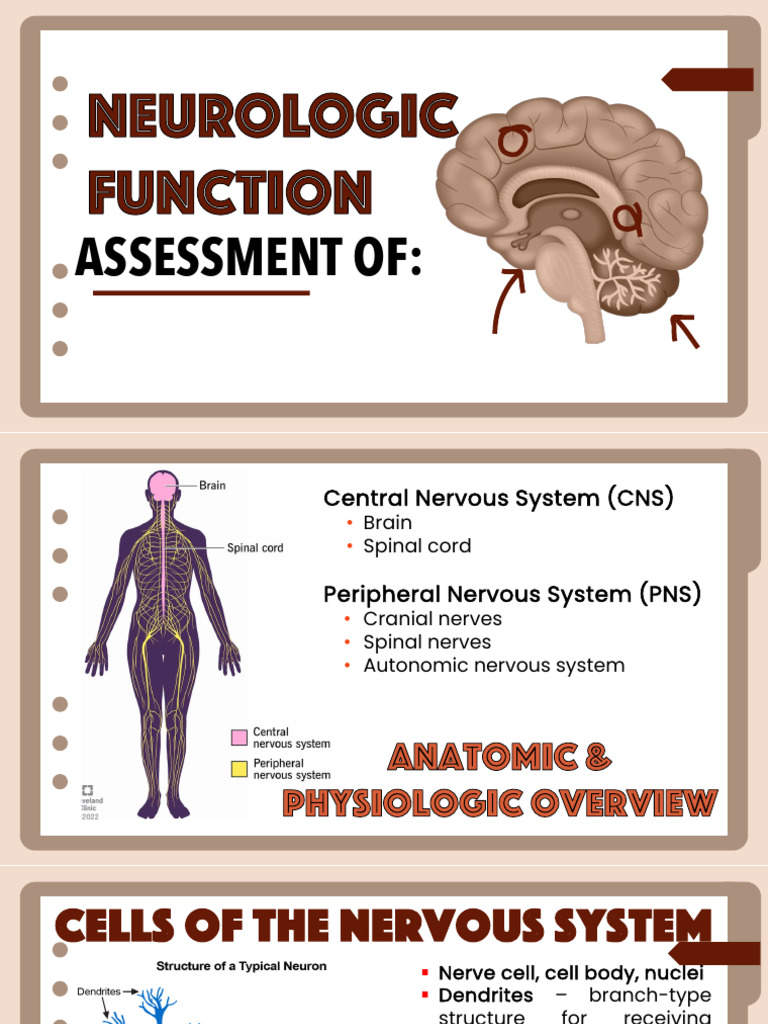 1. Assessment of Neurologic Functions | PDF | Neuron | Axon