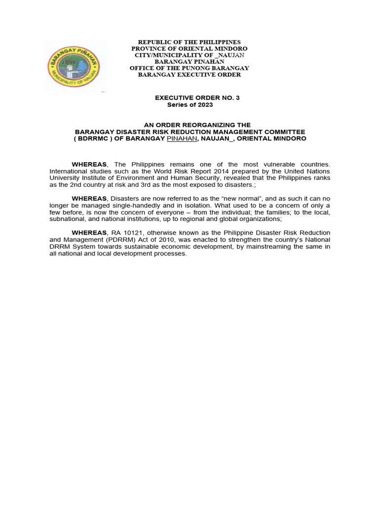 Reorganization of Barangay BDRRMC | PDF | Emergency | Disaster Risk ...