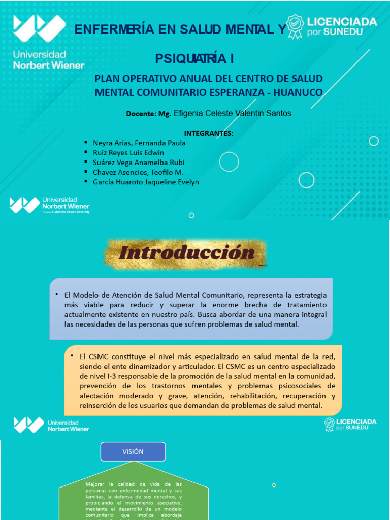 Plan Operativo Anual CSMC Esperanza | PDF | Salud mental | Trastorno mental