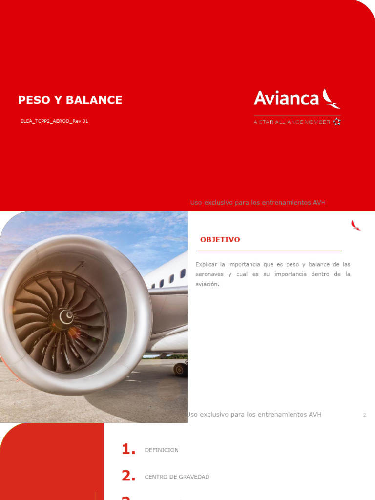 Peso y Balance | PDF | Avión | Peso