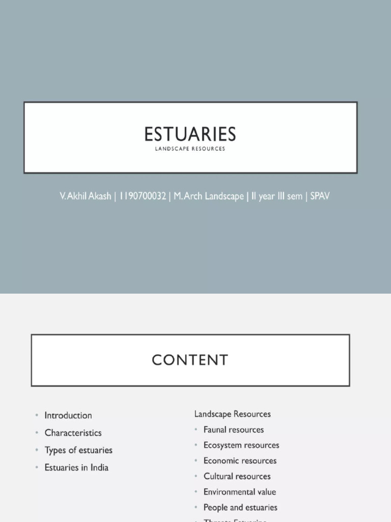 Estuary and Intertidal Zones - Grade 5 | PDF