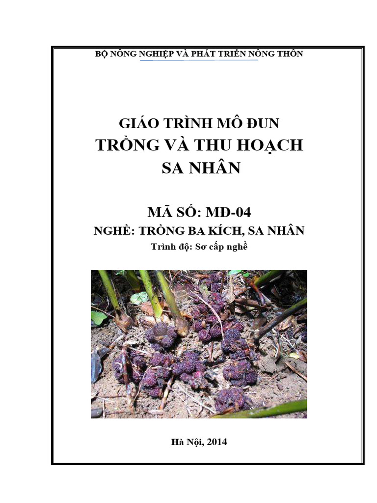 Giáo Trình TR NG Và Thu Ho CH Sa Nhân - TR NG Ba Kích, Sa Nhân | PDF