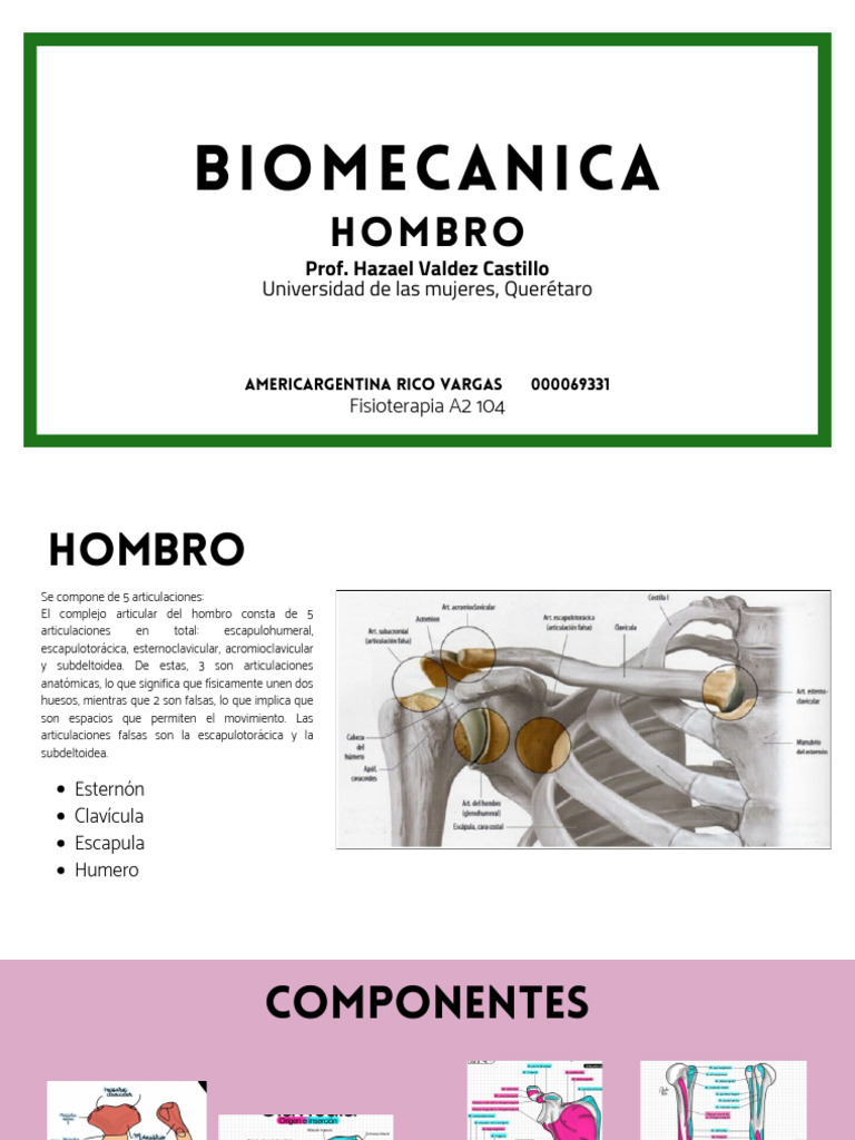 Resumen clase hombro | PDF