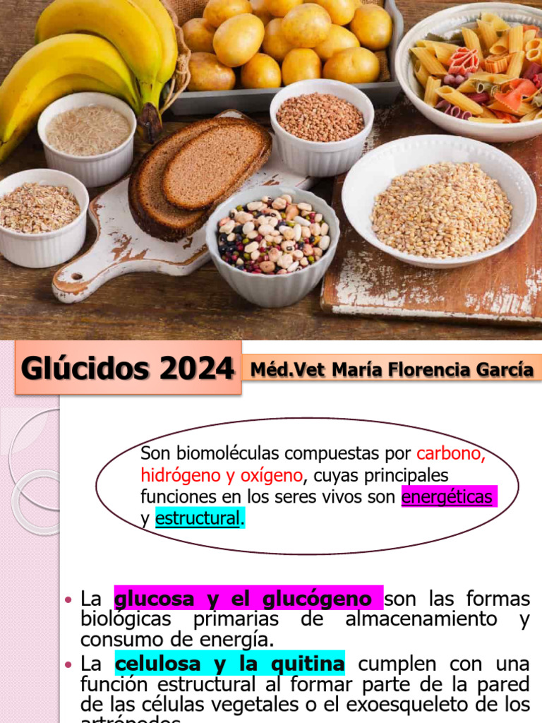 APO 3 Glucidos | PDF | Carbohidratos | Polisacárido