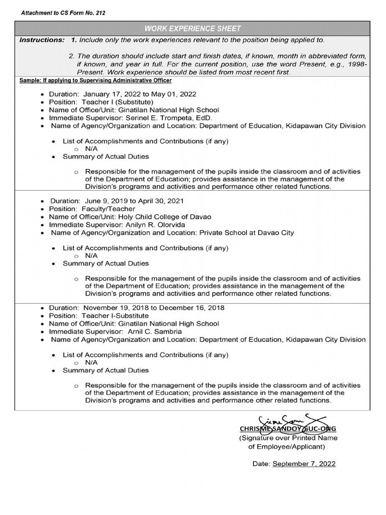 Work Experience Sheet | PDF