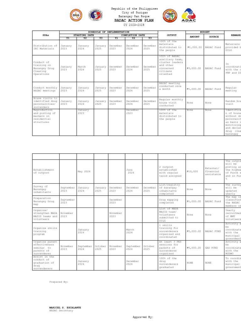 Badac Plan 2023 2025 | PDF | Philippines