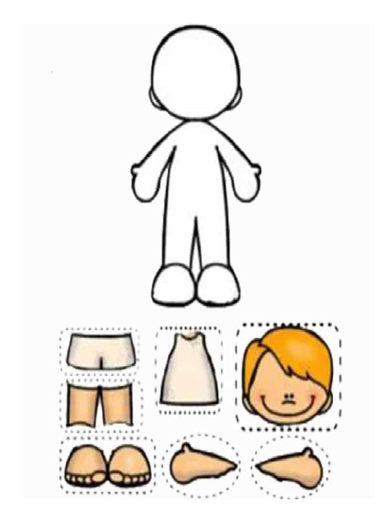 Rompecabeza Del Cuerpo Pdf