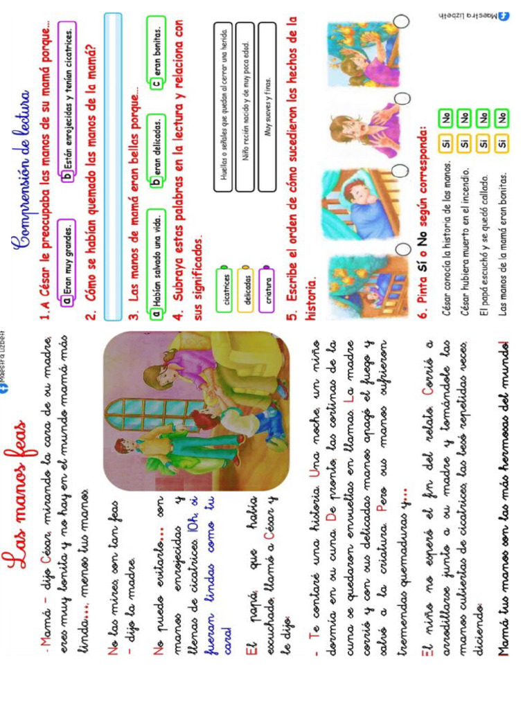 Comprension Lectora Pdf