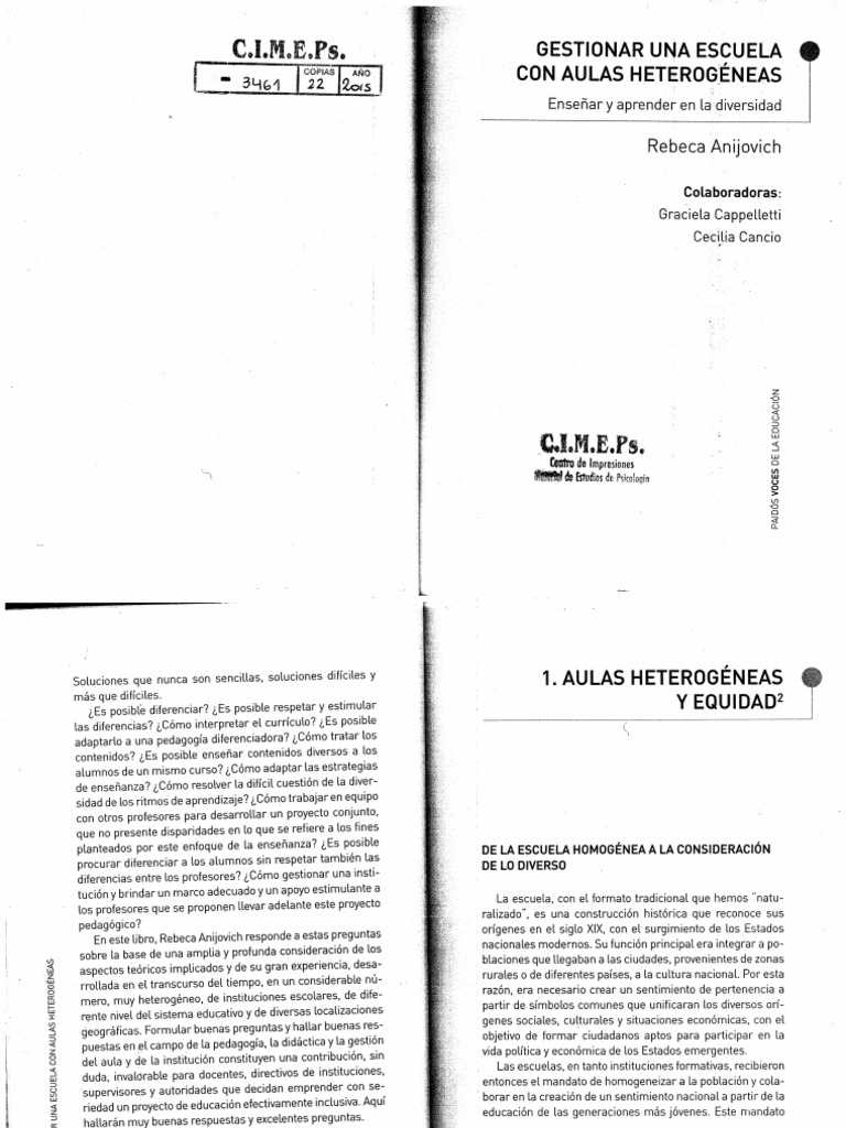 Anijovich Gestionar Una Escuela Con Aulas Heterogeneas Cap6 | PDF