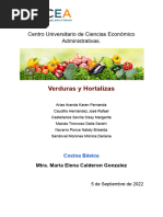 Estructura y Tipos de Limbo en Hojas | PDF | Hoja | Botánica