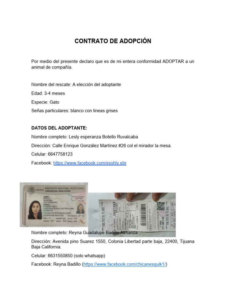 Contrato de Adopción | PDF