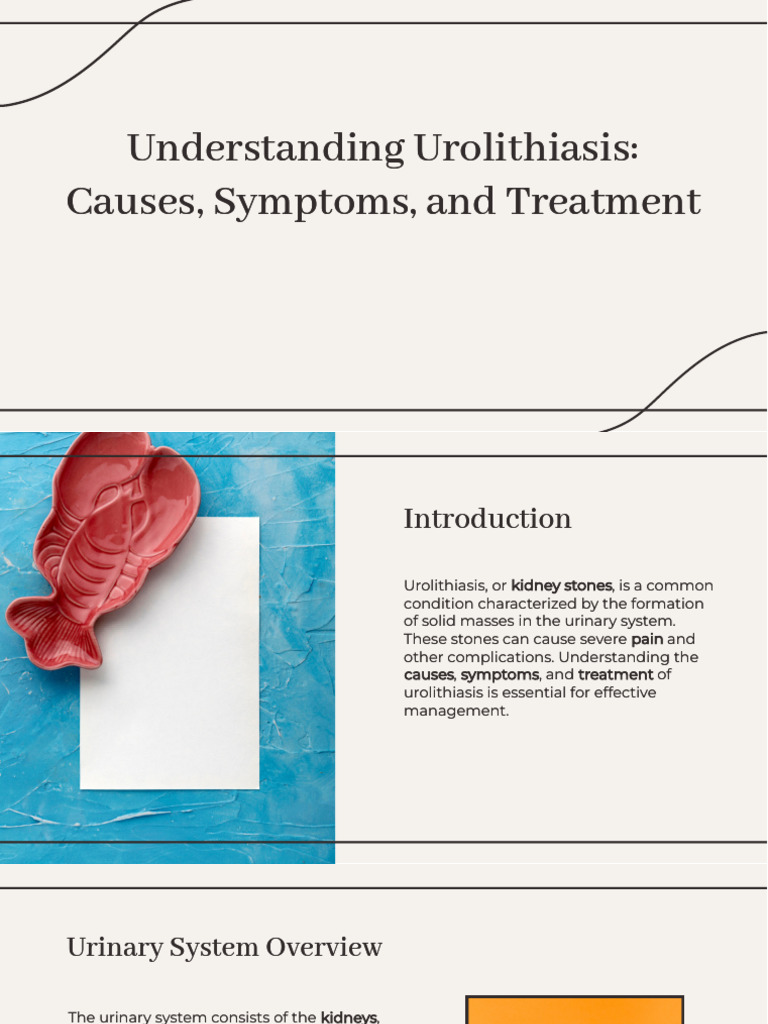 Wepik Understanding Urolithiasis Causes Symptoms and Treatment 20240413030630O1mI | PDF ...