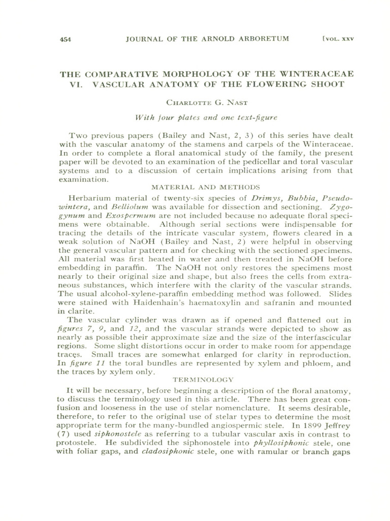 The Comparative Morphology of The Winteraceae VI. Vascular Anatomy of ...