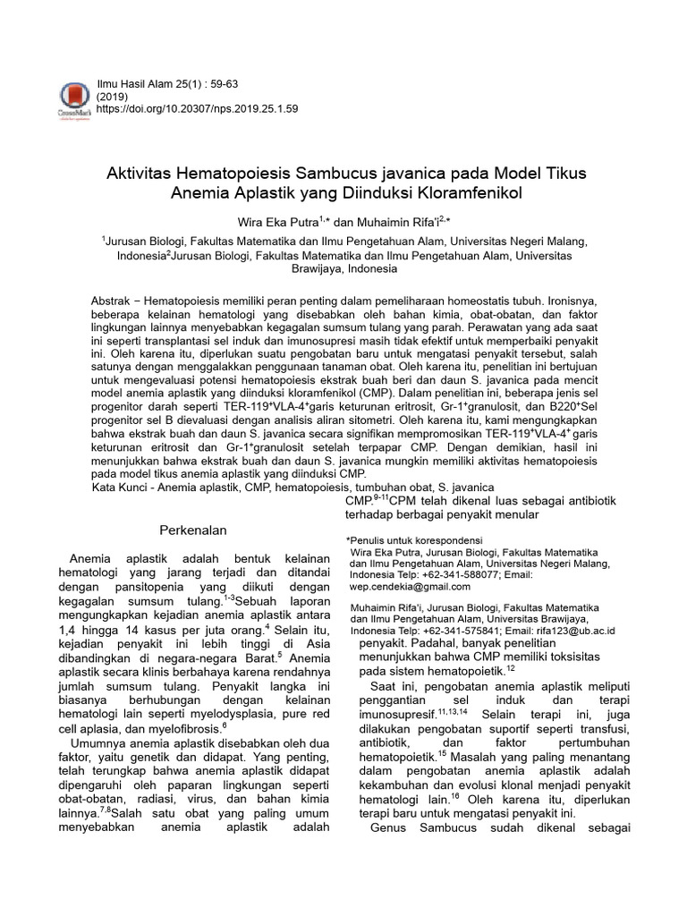 Translated Copy of Hematopoiesis Activity of Sambucus Javanica On ...