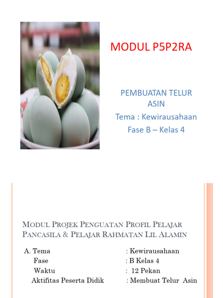 Modul P5p2ra | PDF