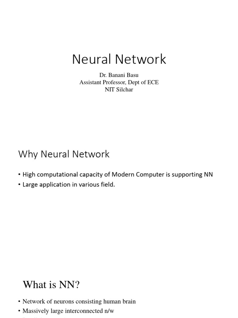 Neural Network Slides | PDF | Neuron | Synapse