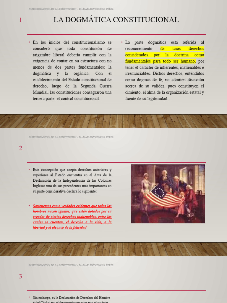 La Dogmática Constitucional | Descargar gratis PDF | Derechos humanos ...