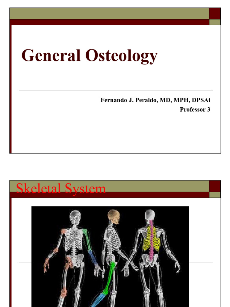 3-General-osteology | PDF | Vertebra | Skull