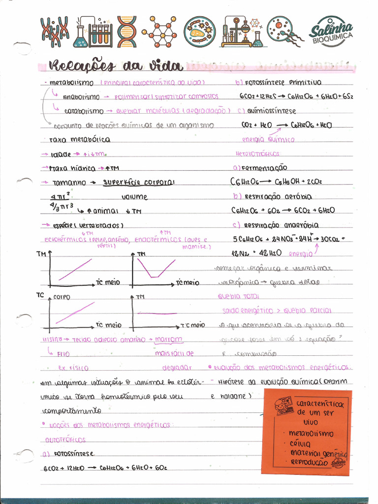 Caderno Bio Polly | PDF
