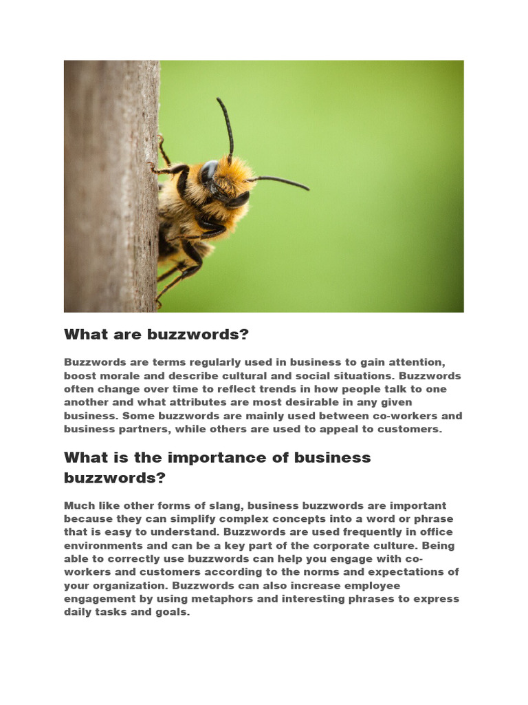 Buzz | PDF | Startup Company | Small Business & Entrepreneurs