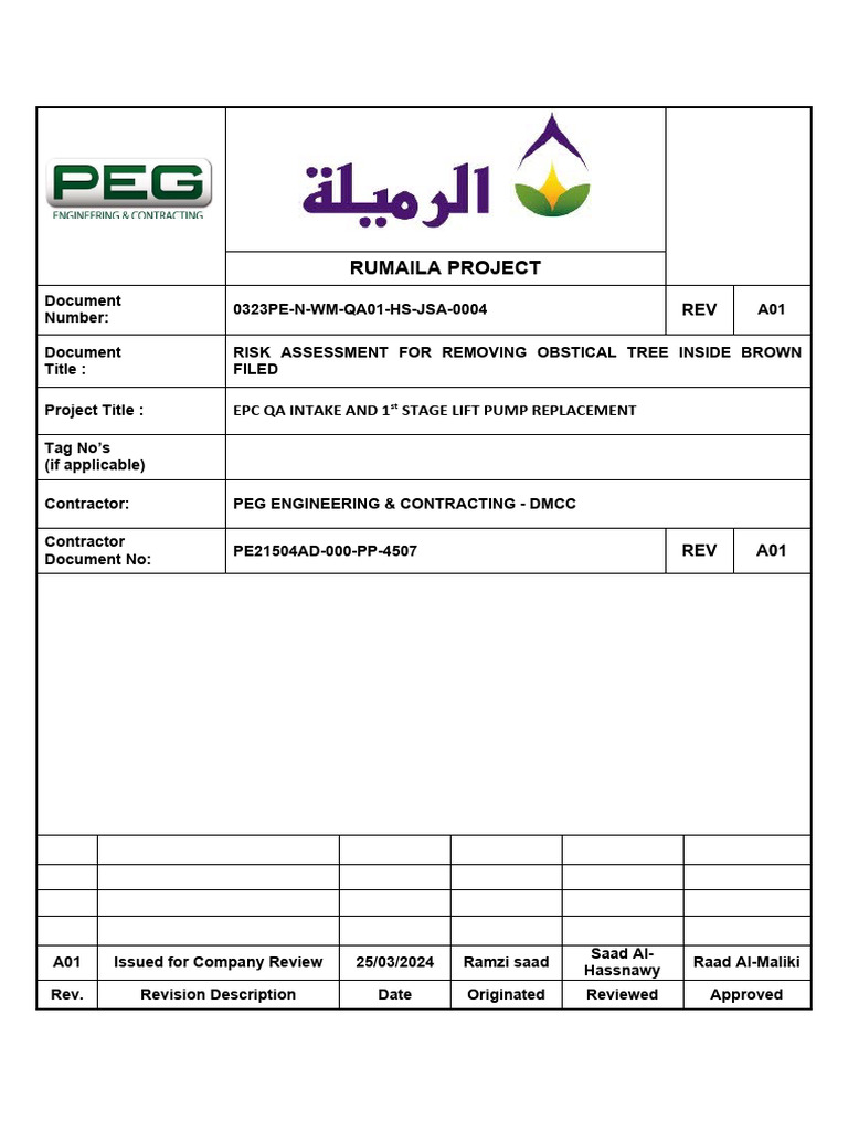 Rumaila Project Risk Assessment Report | PDF | Crane (Machine ...