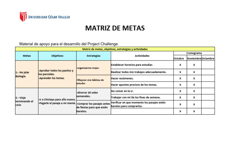 Matriz de Metas y Estrategias 2023 | PDF