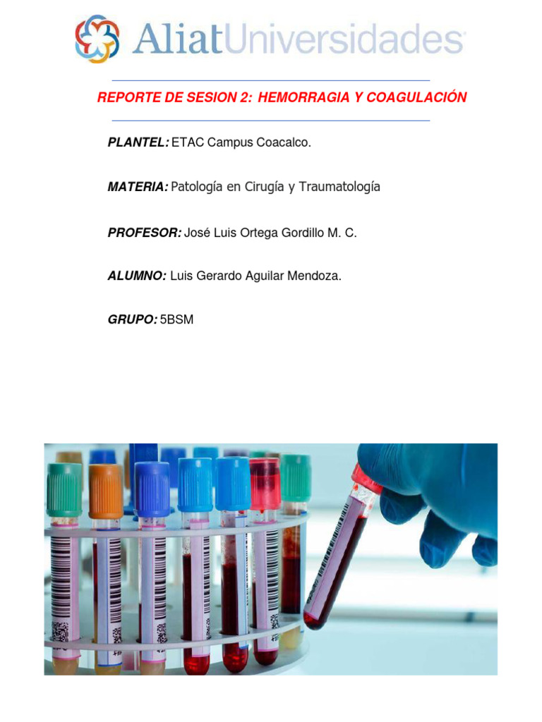 Reporte Sesion 2 LGAM | PDF | Hemostasia | Coagulación Reporte Sesion 2 LGAM | PDF | Hemostasia | Coagulación
