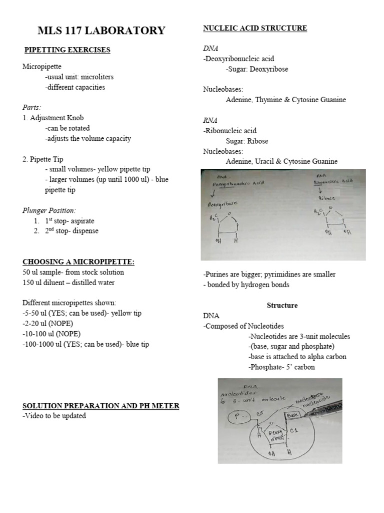 Micropipetting and DNA Analysis Guide | PDF | Nucleic Acid Sequence ...