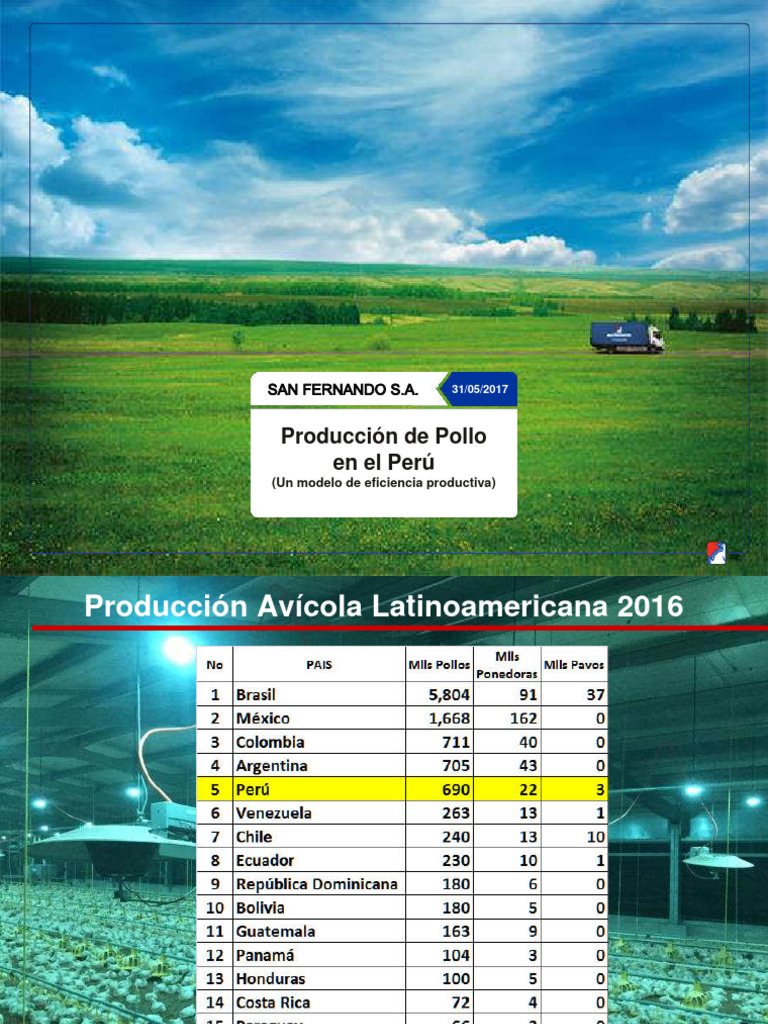 13 Produccion Avicola en Peru y El Mundo Modelo de Eficiencia ...