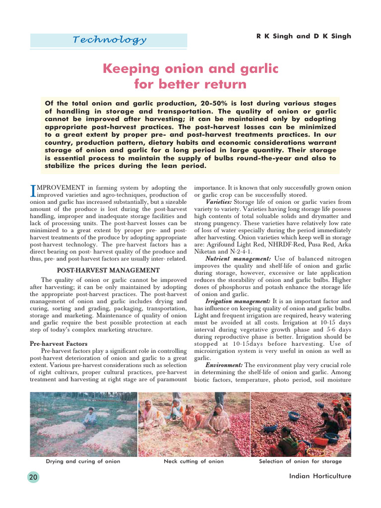 Ojsadmin, 07 Keeping Onion | PDF | Onion | Garlic