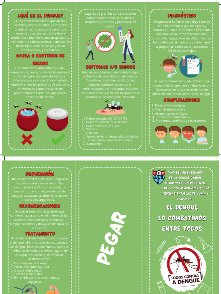 Tríptico Agencia de Viajes Saturado Verde (29.7 X 21 CM) | PDF | Fiebre del zika | Enfermedades ...