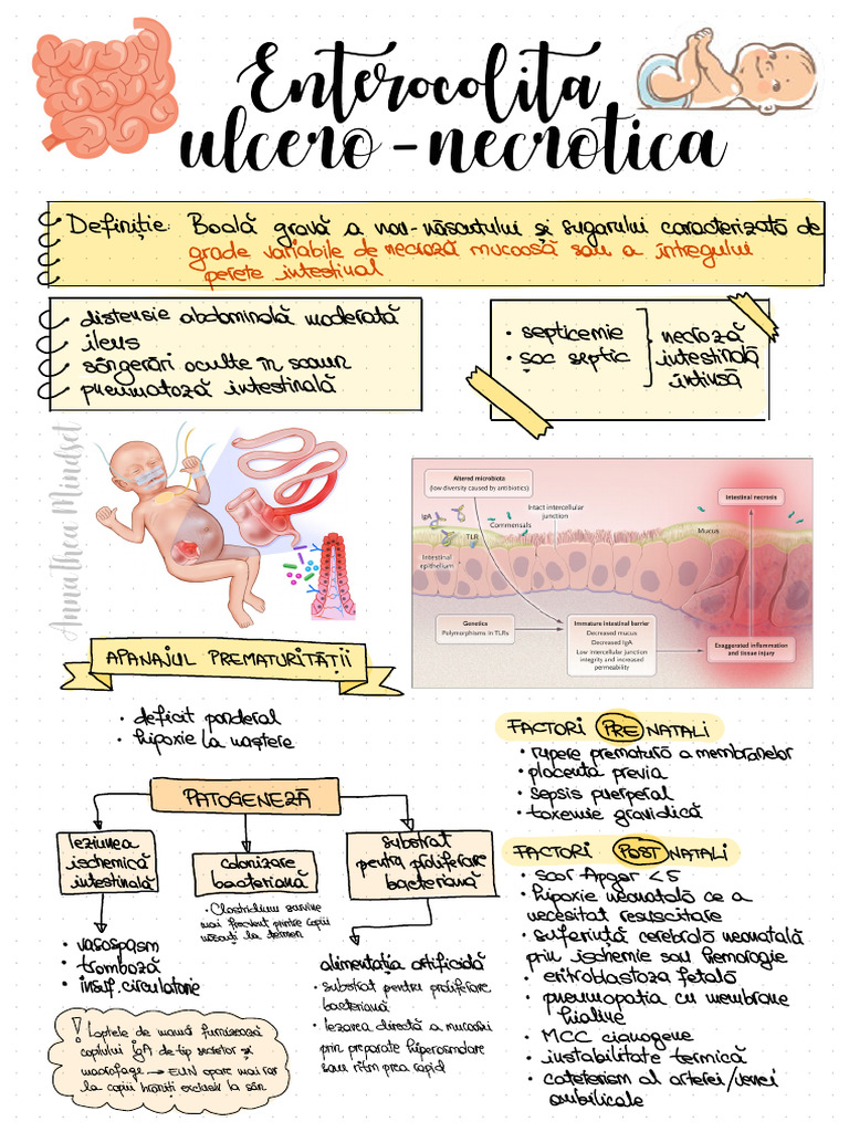 Enterocolita ulcero-necrotica | PDF | Medical Specialties | Diseases ...