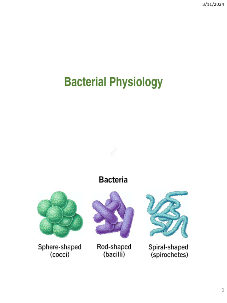 Bivila Revised Bacterial Physiology | PDF | Bacteria | Nutrition