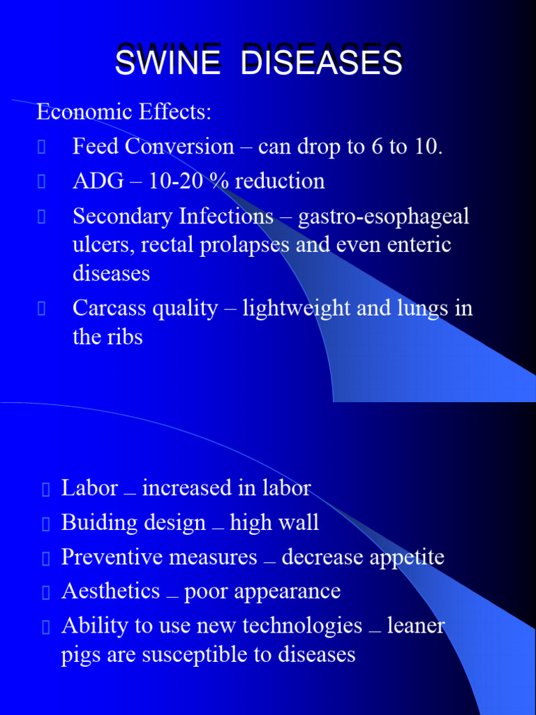 Swine Diseases | PDF | Pig | Pneumonia